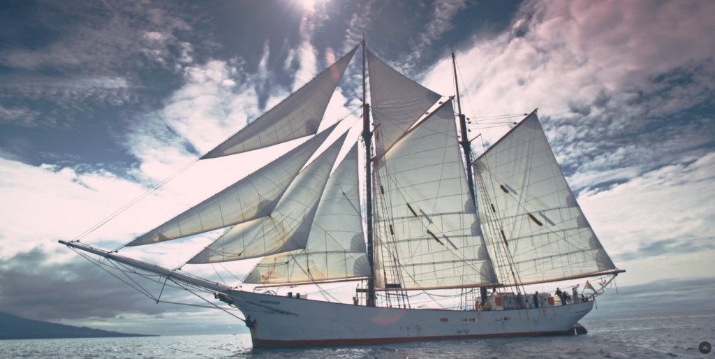 Wind powered cargo ship could signal more eco-friendly vessels are ...